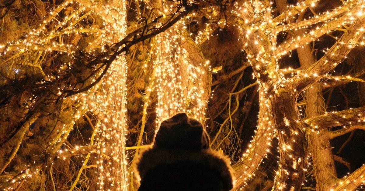 What's On This Christmas in Chester:… | Lakeland Leisure Estates